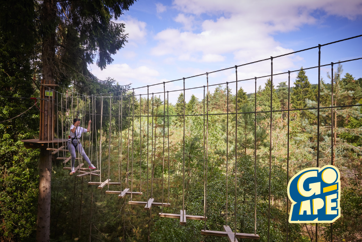 Save 10% on forest adventures