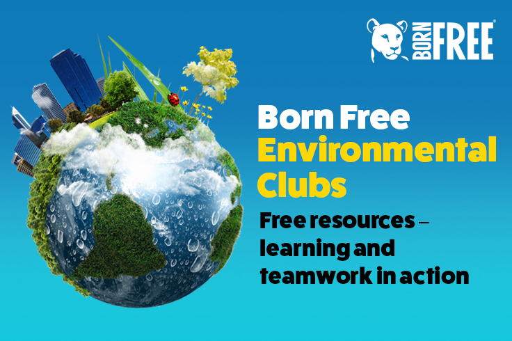 Free environmental club resource